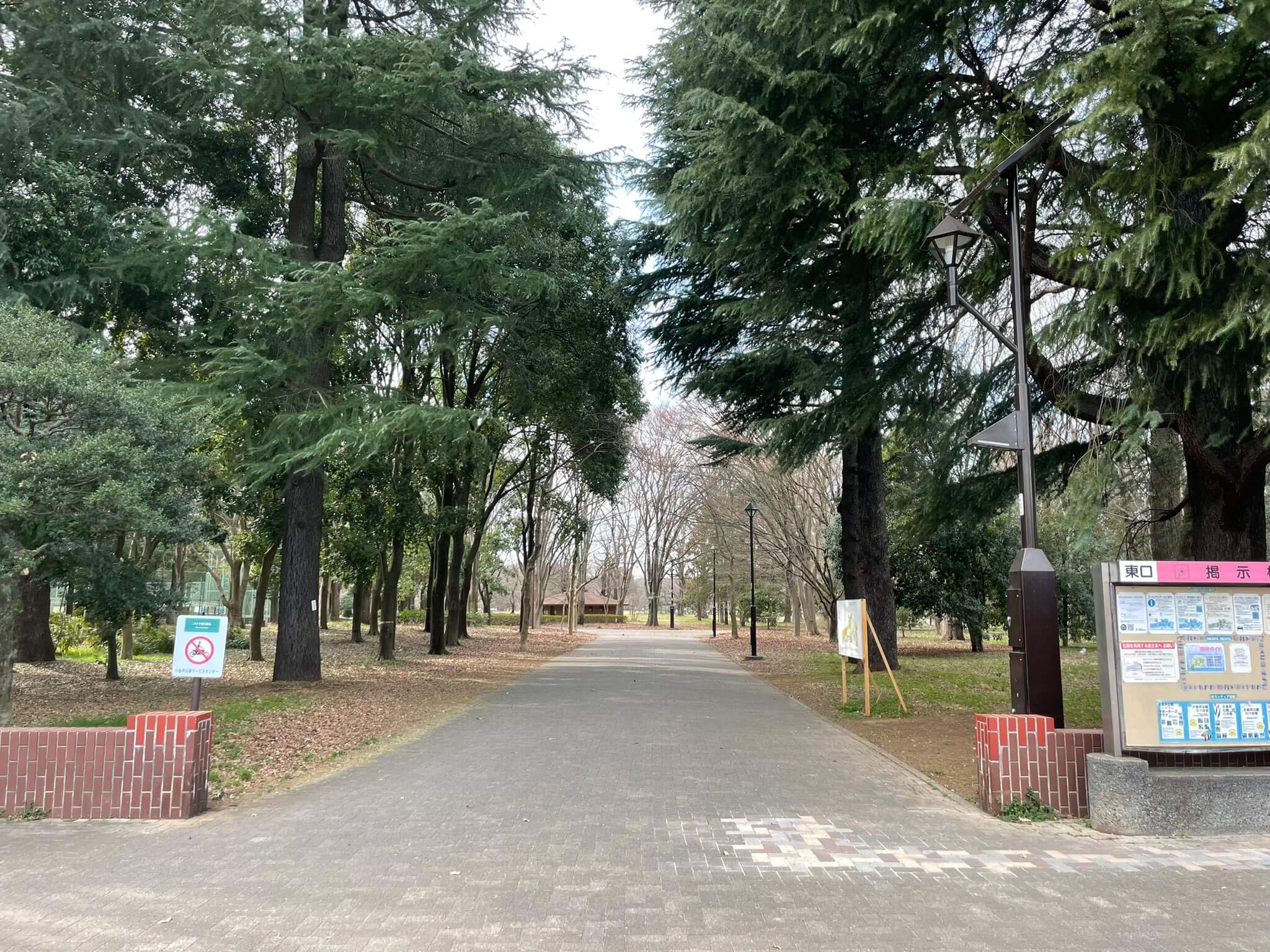 【都内ジョギングコース〜1周3km〜5km】小金井公園ランニングコース | 距離の森